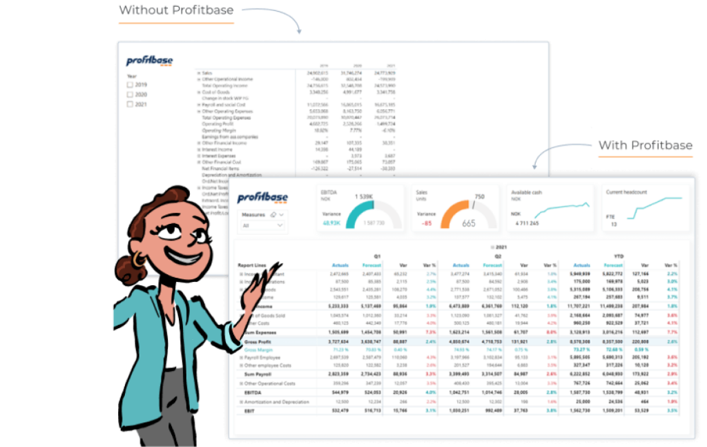 Financial Reporting Matrix - Profitbase