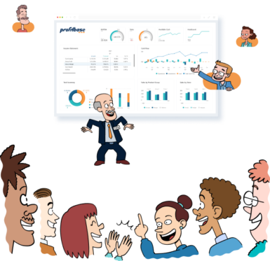 Profitbase FInancial Reporting Matrix - Profitbase